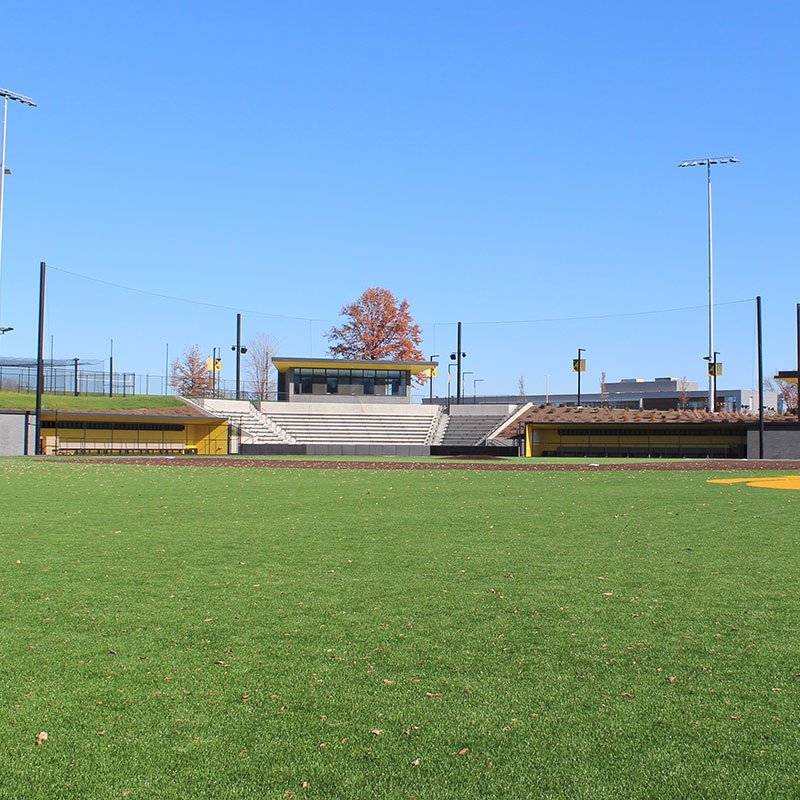 Suspended Net Baseball Backstop Netting System Kit